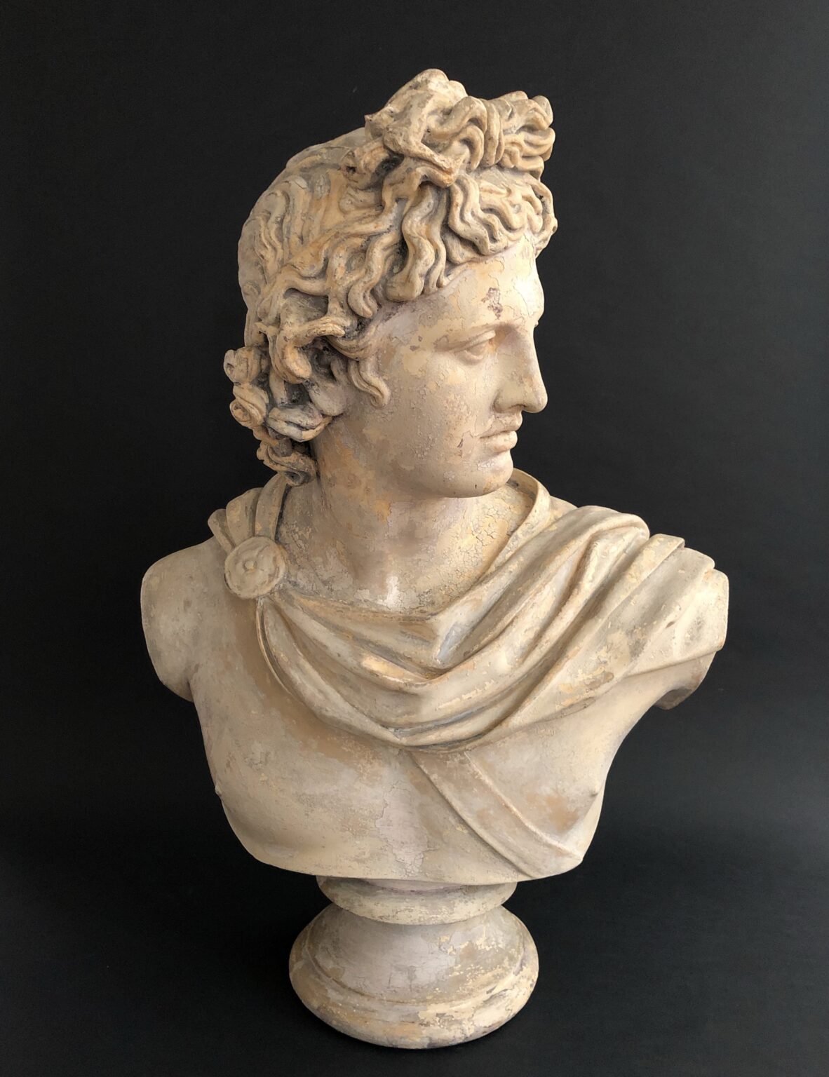 A Bust of Apollo Belvedere - Charles Clark